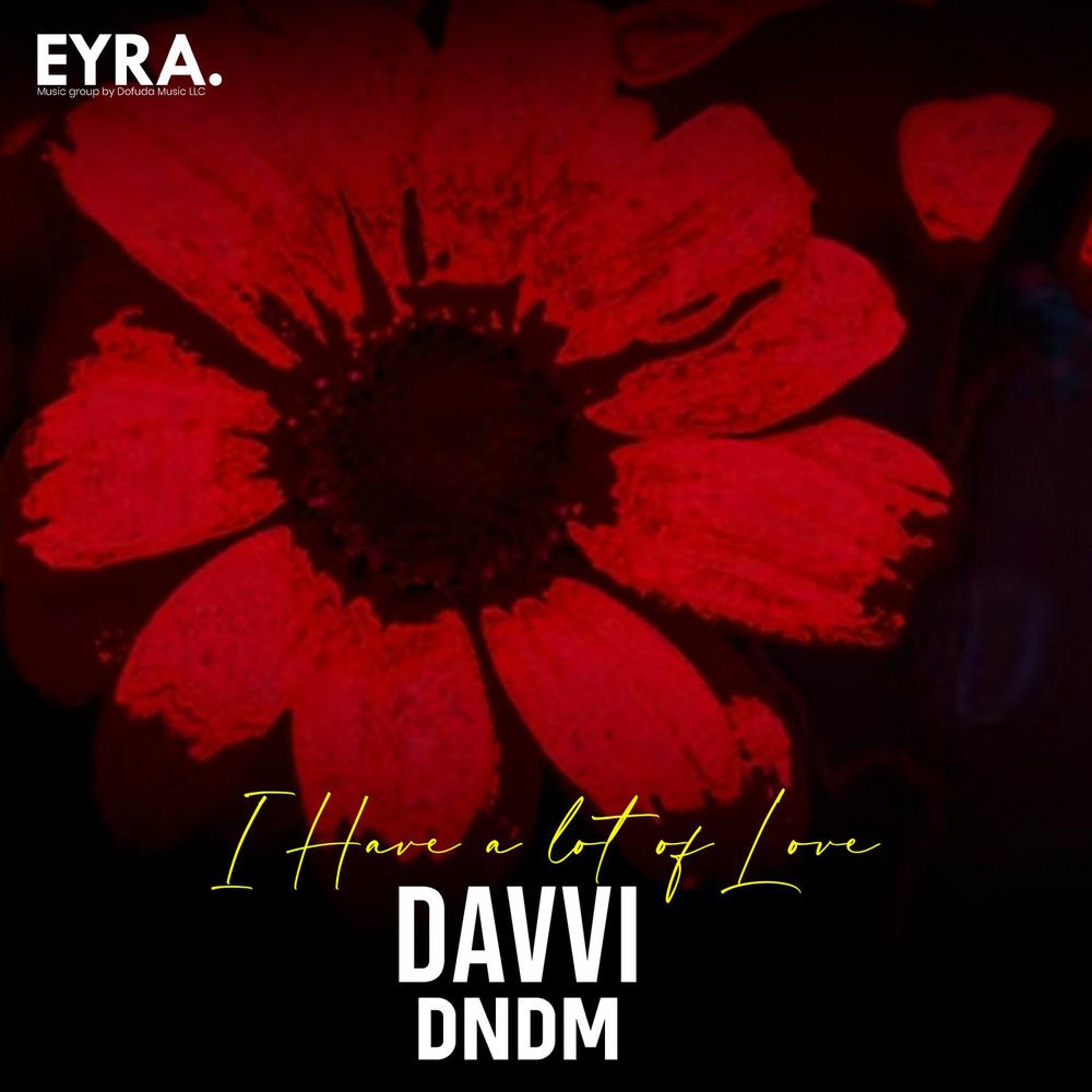 آهنگ جدید DNDM به نام I Have a lot of Love | سایت موزیک هیتصدا